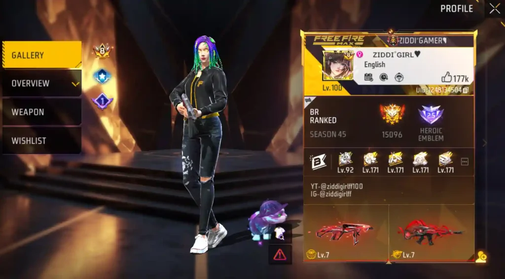Top 7 Highest Level Free Fire IDs in India (Level 100 Players)